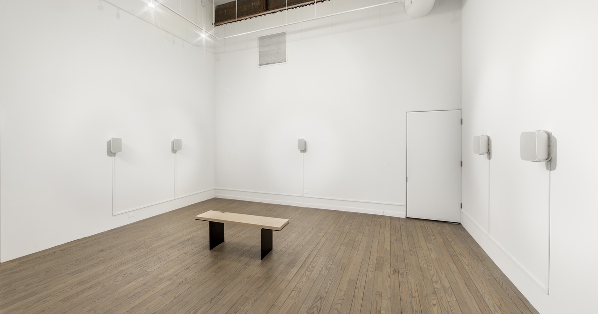 Sound Installations | Alexander Gray Associates