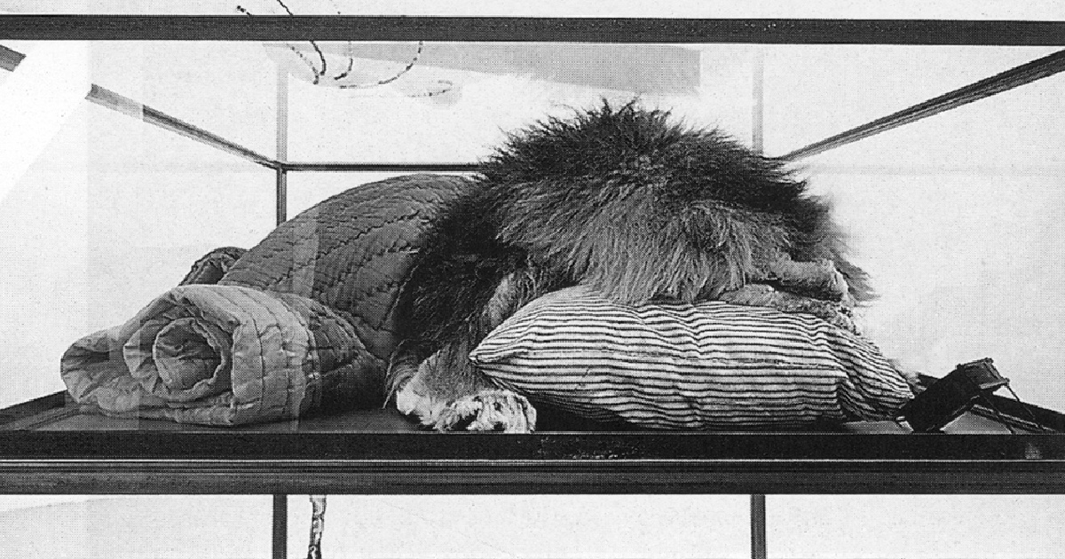 Ricardo Brey, Crestet Art Centre | Alexander Gray Associates